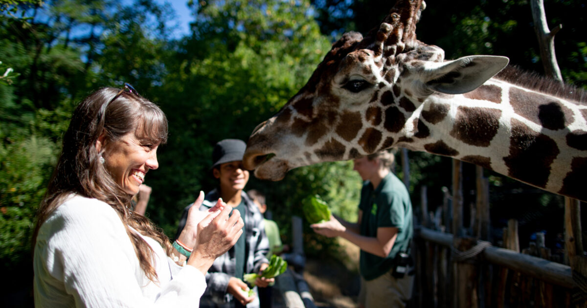 Woodland Park Zoo | Seattle Top Tix
